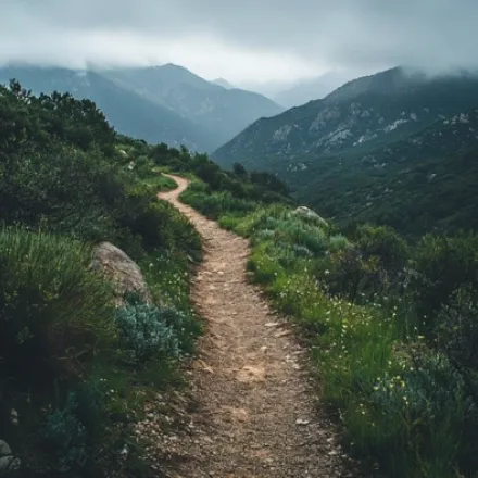 Mentoring Meeting Questions | InterVarsity